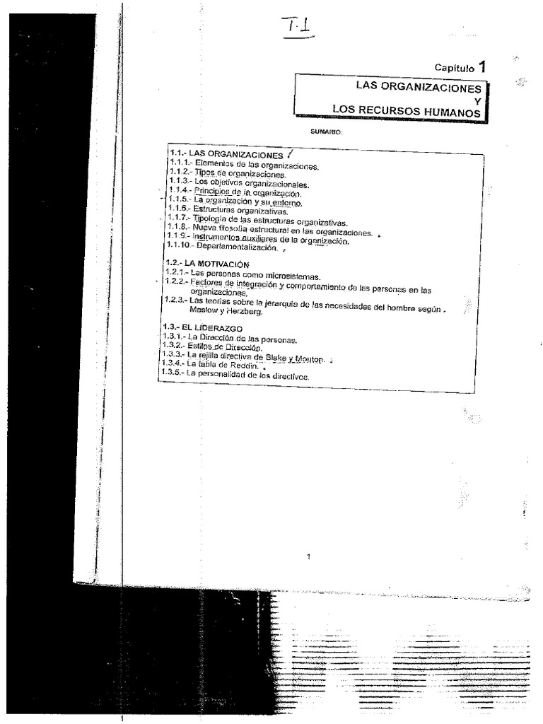 Tema 1 Org y RRHH | PDF