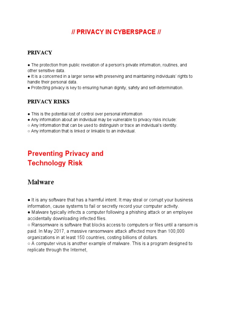 Privacy in Cyberspace | PDF