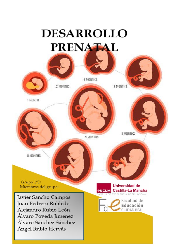 Desarrollo Prenatal | PDF