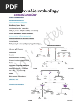 All Bacteria Summary Tables | PDF | Streptococcus | Bacteria