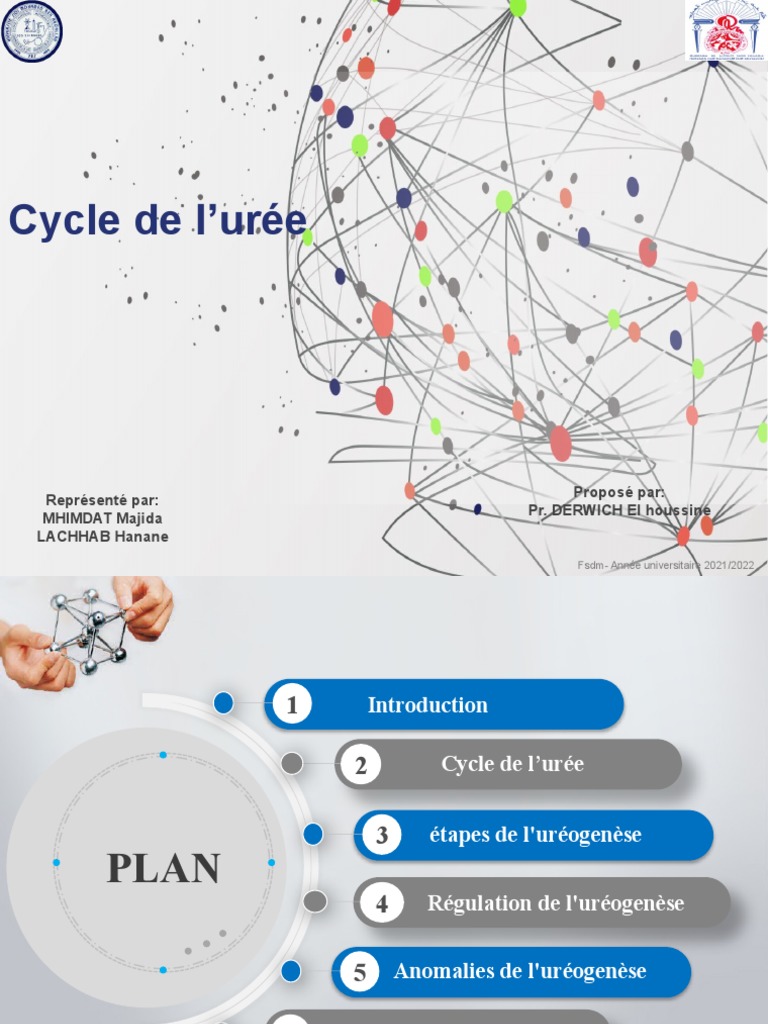 Cycle de L'uree... | PDF | Sciences physiques | Biologie