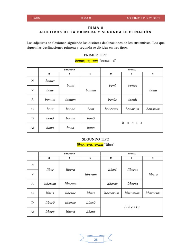 Adjetivos de 1ª y 2ª declinación en latín | PDF