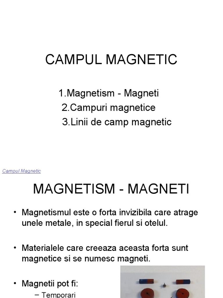 Campul Magnetic | PDF | Science & Mathematics | Technology & Engineering