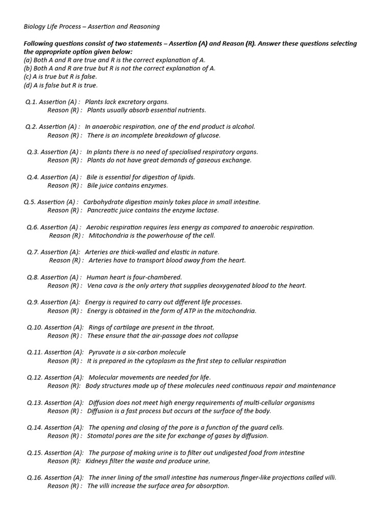 10 6 Assertion | PDF
