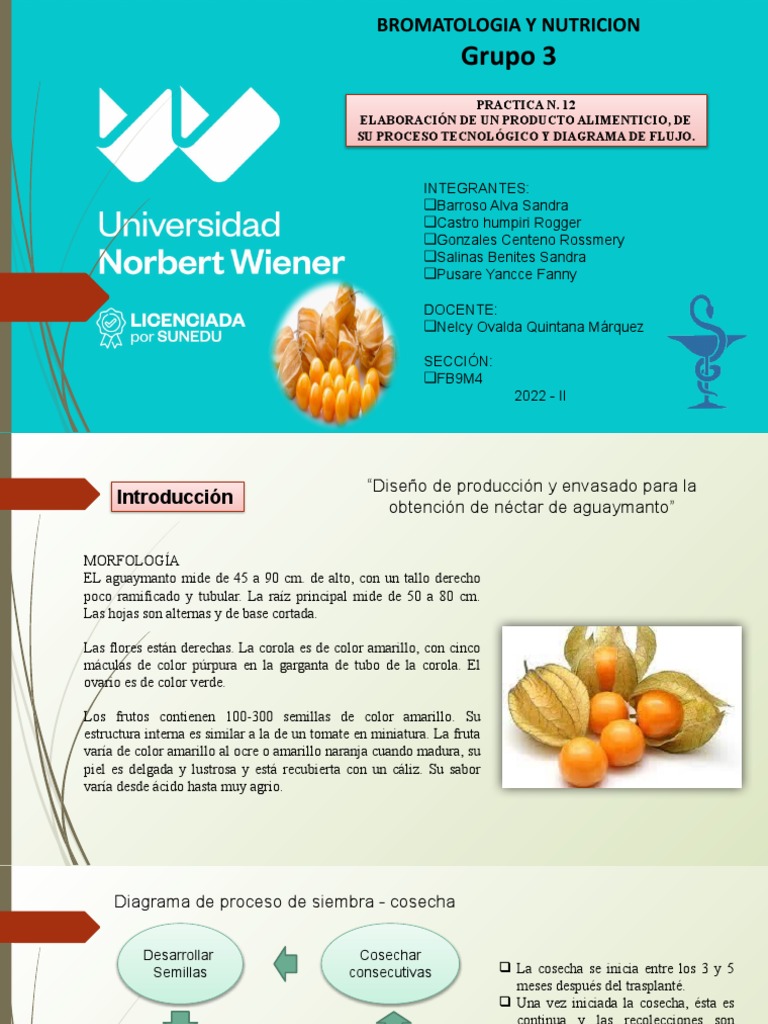 Elaboración de Un Producto Alimenticio, de Su Proceso Tecnológico y ...