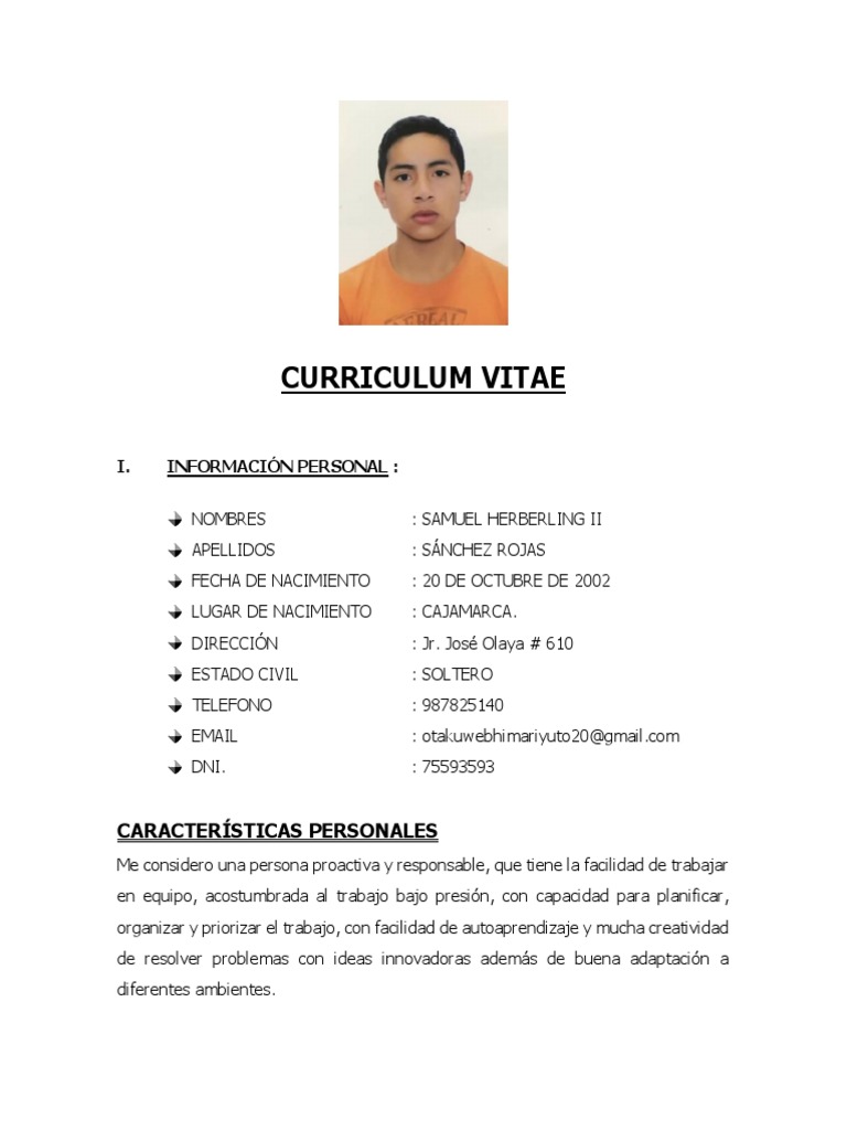 Curriculum Vitae Samuel Sanchez Rojas | PDF