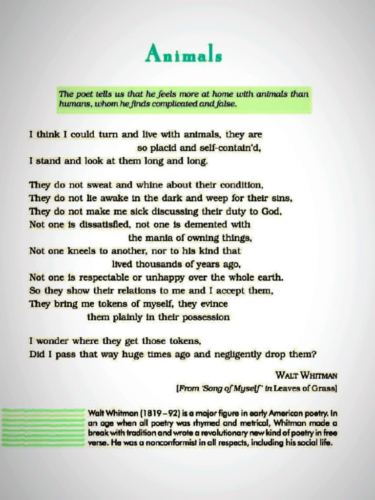 Poem: Amanda | PDF