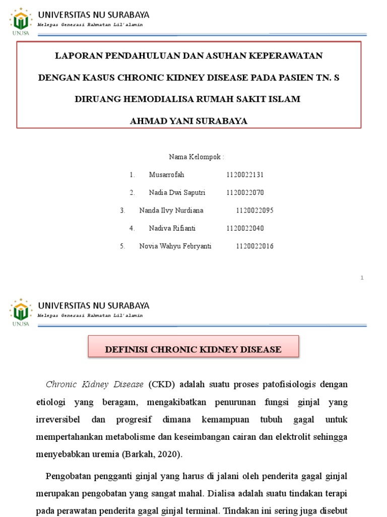 Seminar Kasus HD | PDF