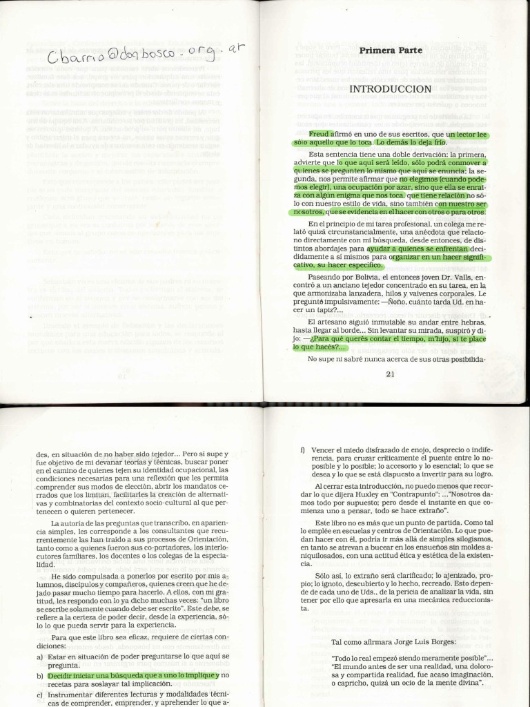 Gelvan de Veinsten Orientación Vocacional | PDF