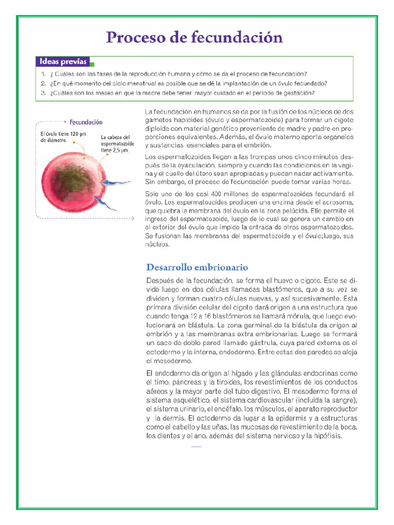 Proceso de Fecundacion | PDF