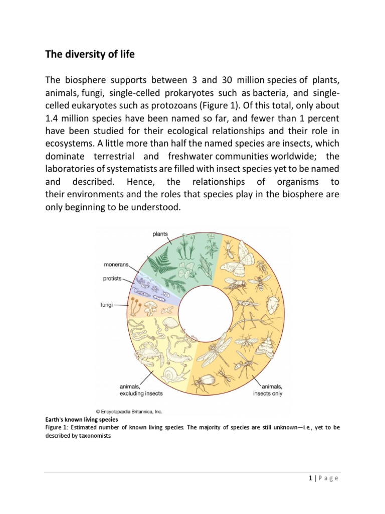 Week 3 Module | PDF | Carbon Cycle | Photosynthesis