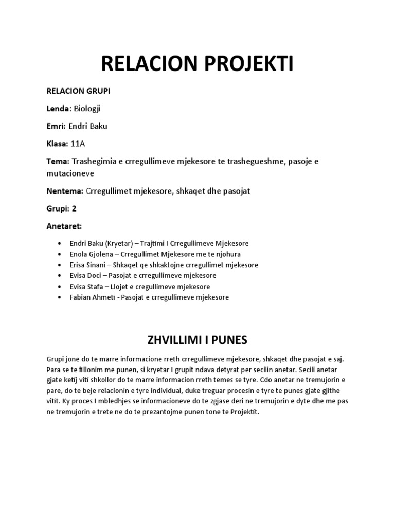 Relacion Projekti | PDF