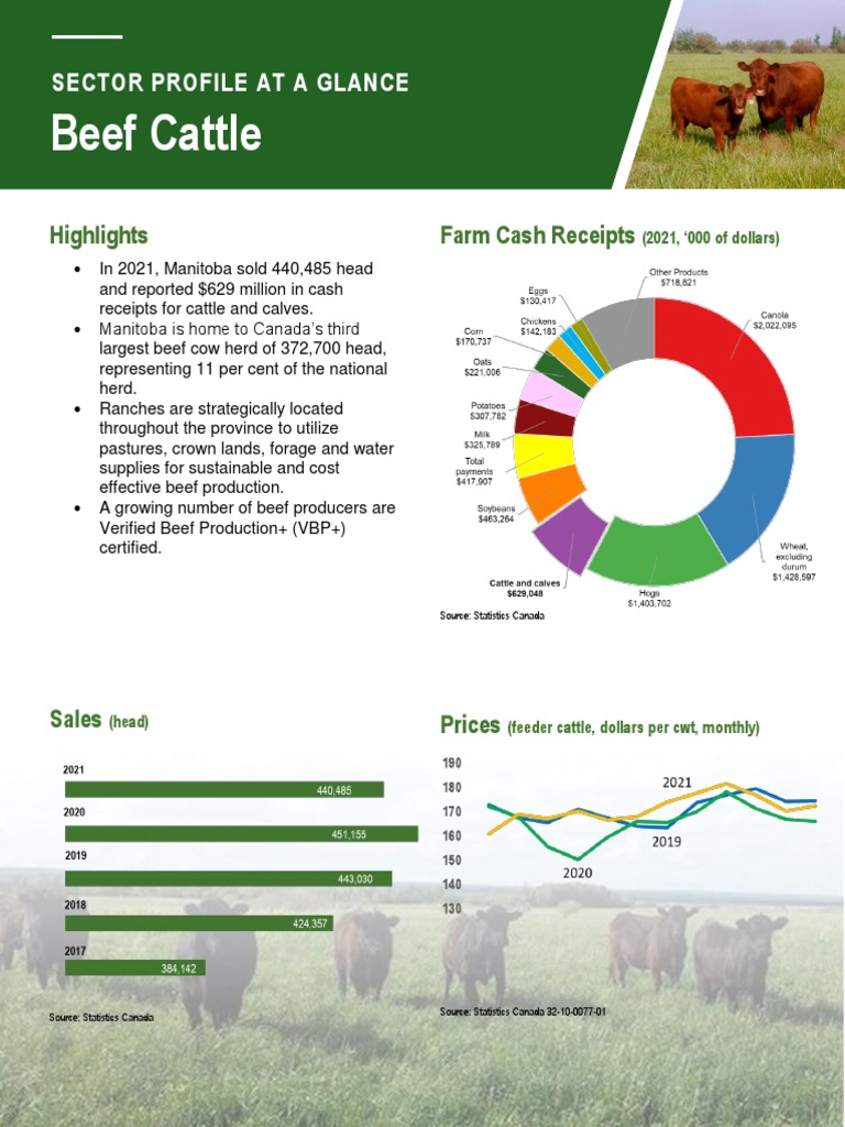 Beef Cattle Sector Profile | PDF