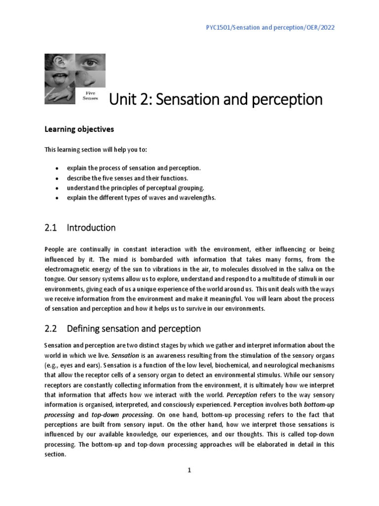 PYC1501 Sensation and Perception | PDF
