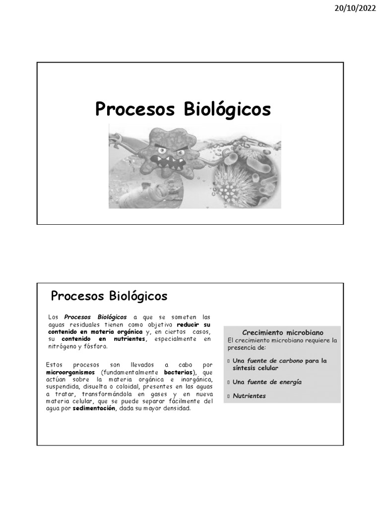 17.1.procesoso Biologicos | PDF