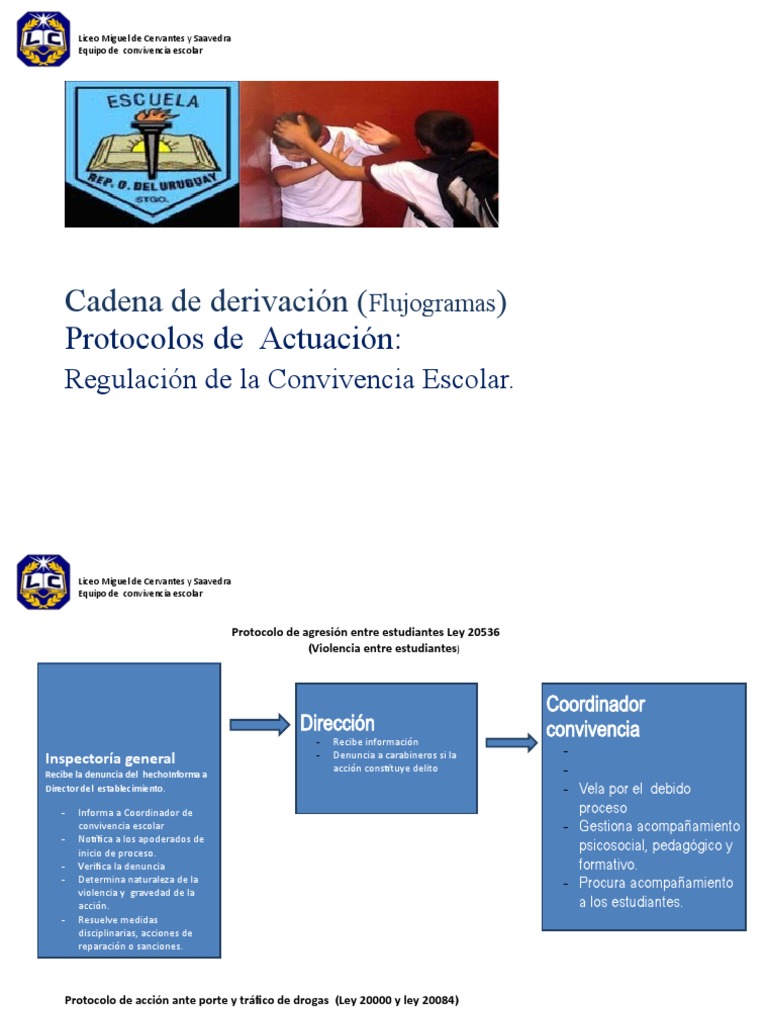 Flujogramas de Protocolos | PDF