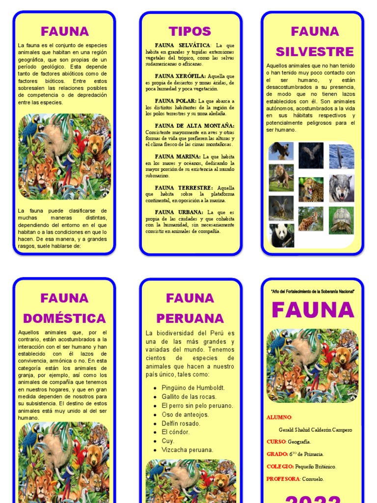 Triptico Fauna Peruana | PDF | Fauna | Selva