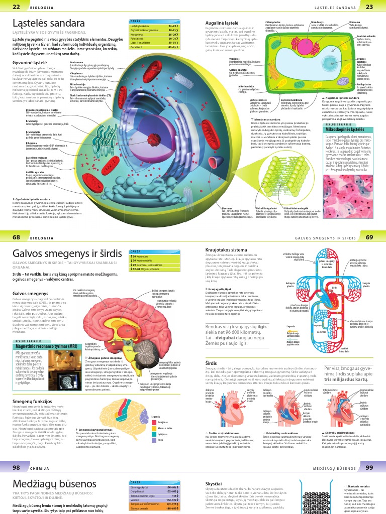 Lasteles Sandara | PDF