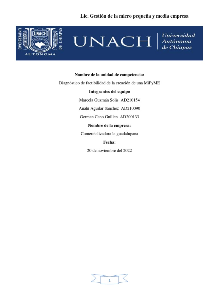 Diagnóstico de Factibilidad de La Creación de Una MiPyME | PDF Diagnóstico de Factibilidad de La Creación de Una MiPyME | PDF