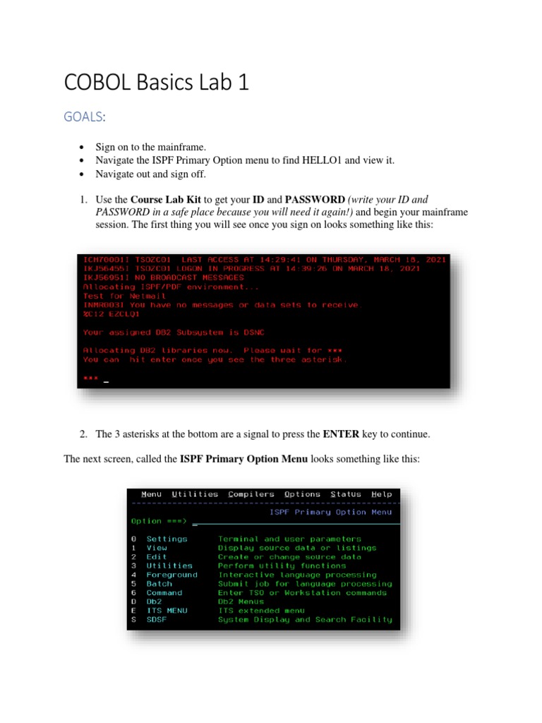 Lecture Cobol Basics Pdf