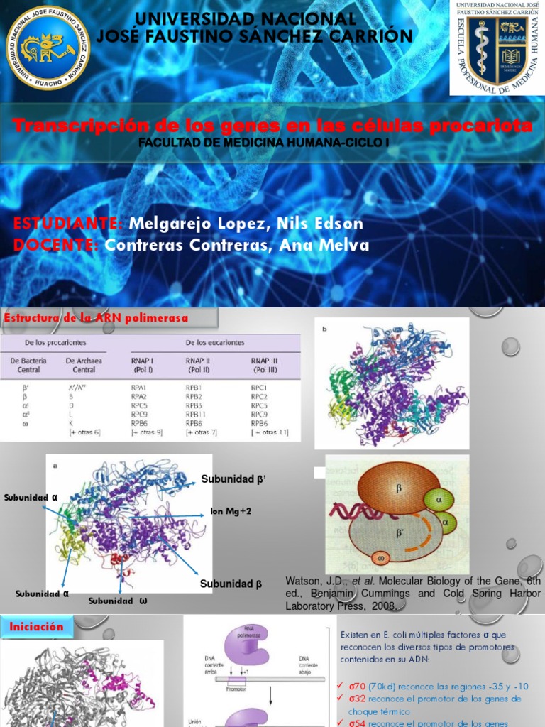 Seminar Ios | PDF | Biomoléculas | Procesos celulares