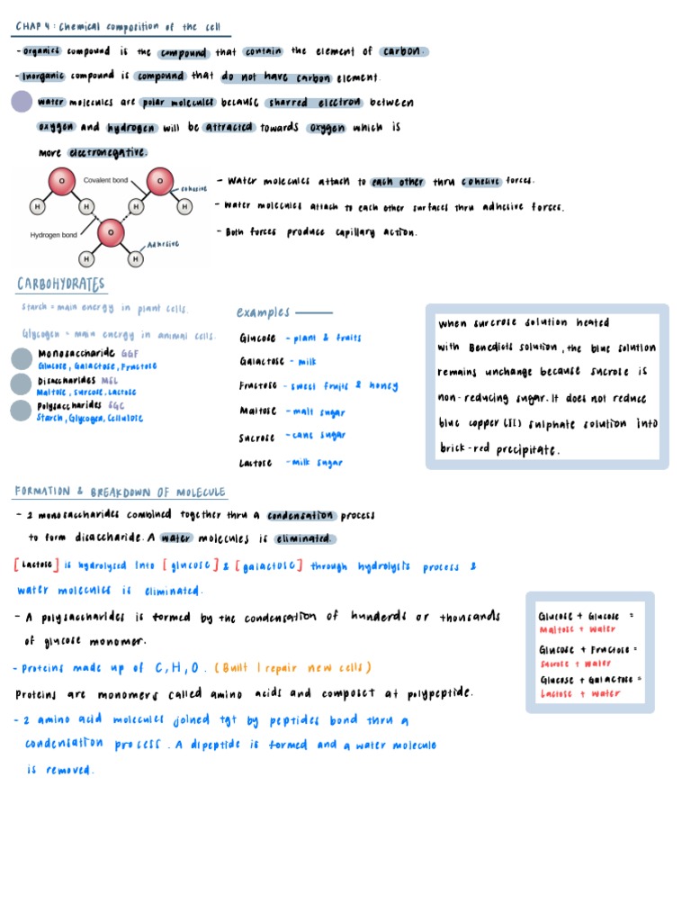 Biology Form 4 Chapter 4 | PDF