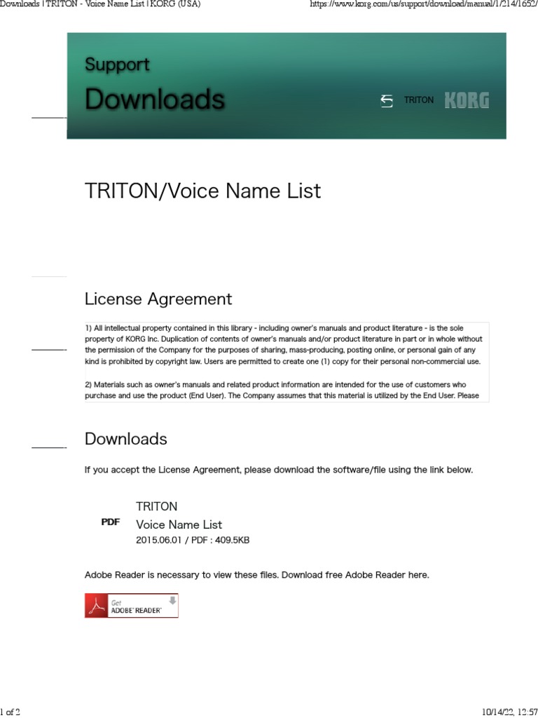Triton NNL | PDF