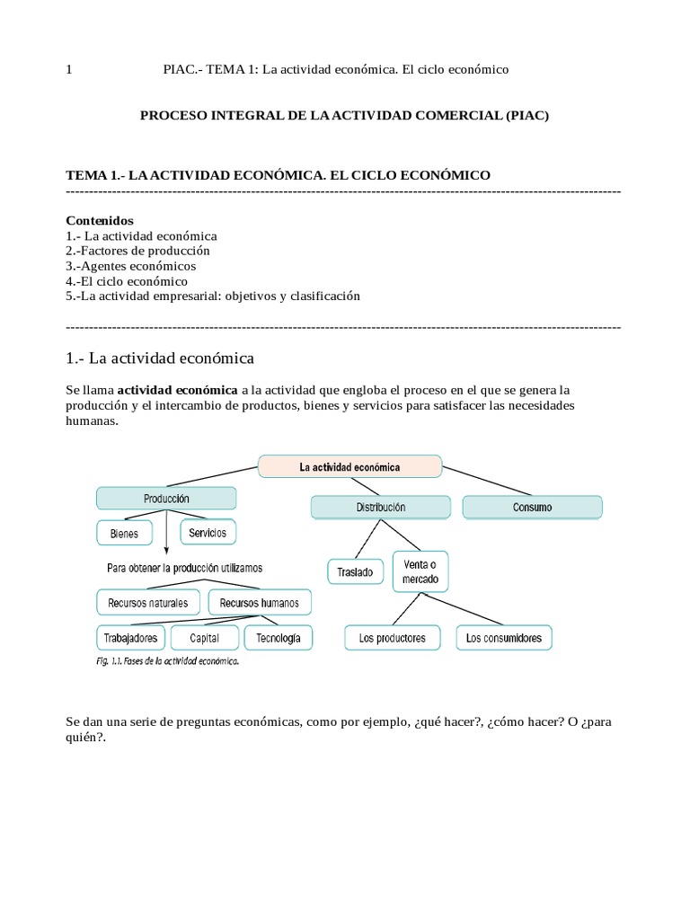 T1 La Actividad Economica PIAC - APUNTES | PDF