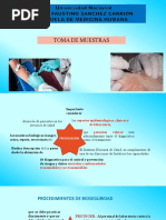 Rotulación y Identificación de Muestras | PDF | Histopatología ...