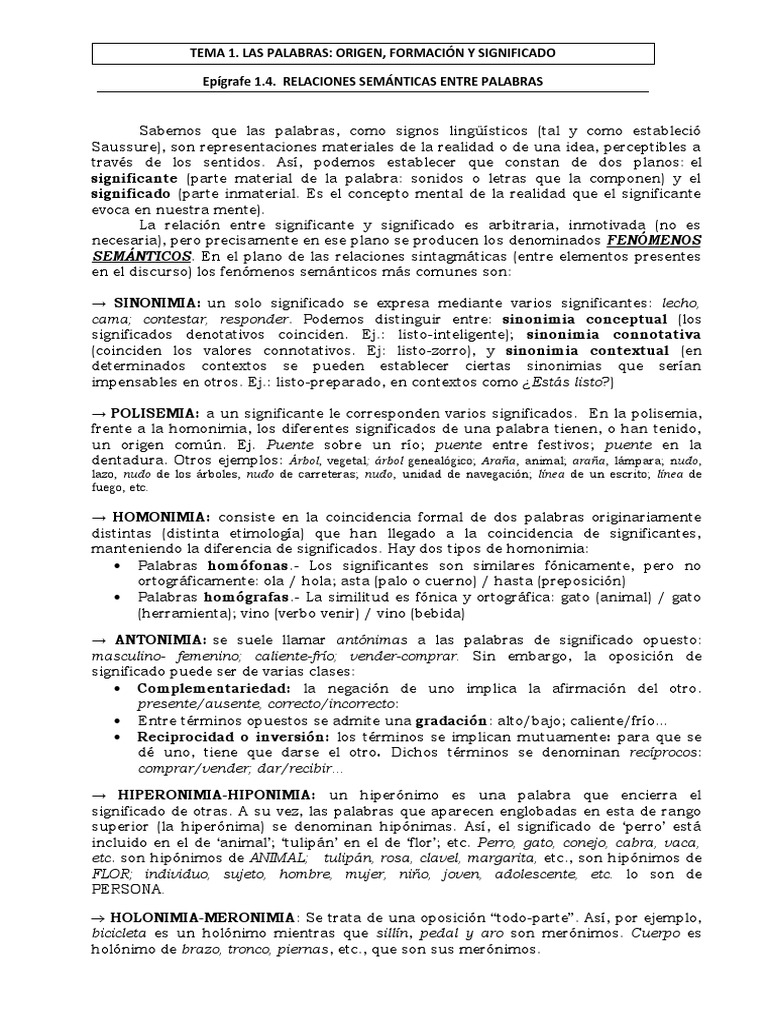 Epigrafe1.4. RELACIONES SEMANTICAS ENTRE PALABRAS | PDF