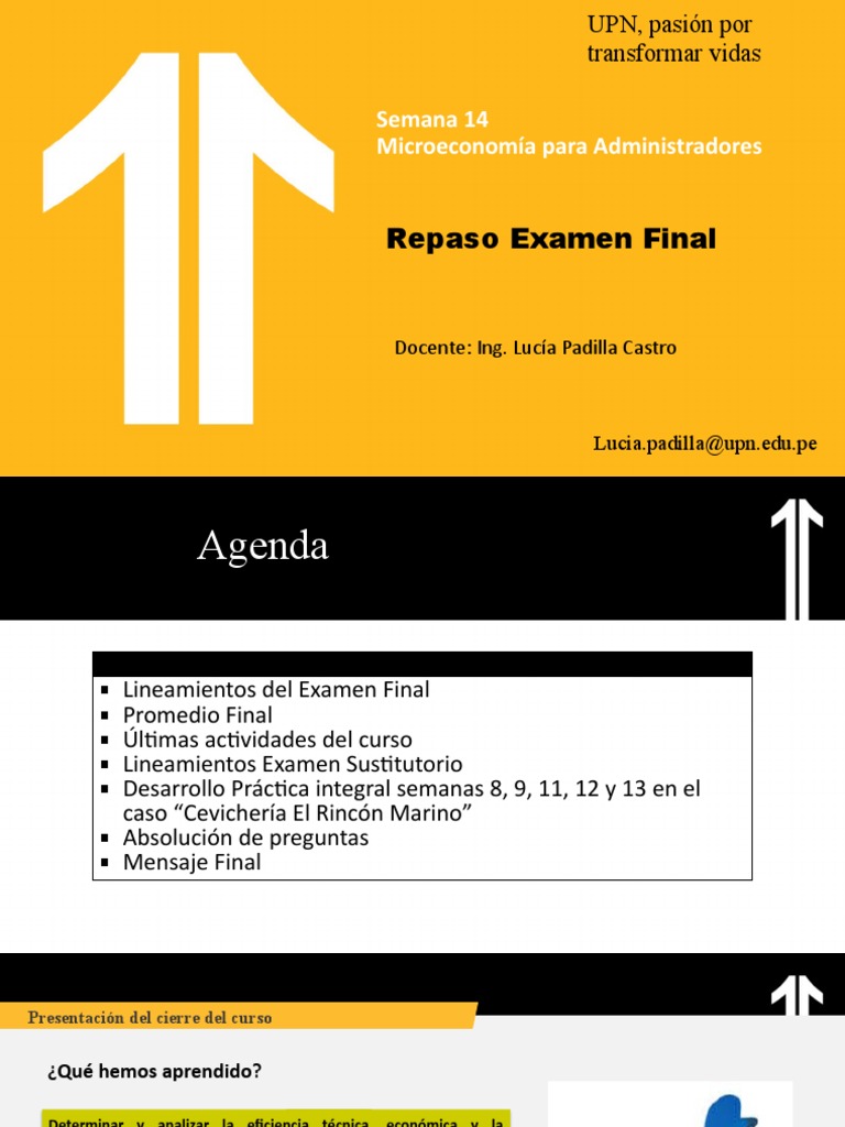 Semana 14 Repaso Examen Final | PDF