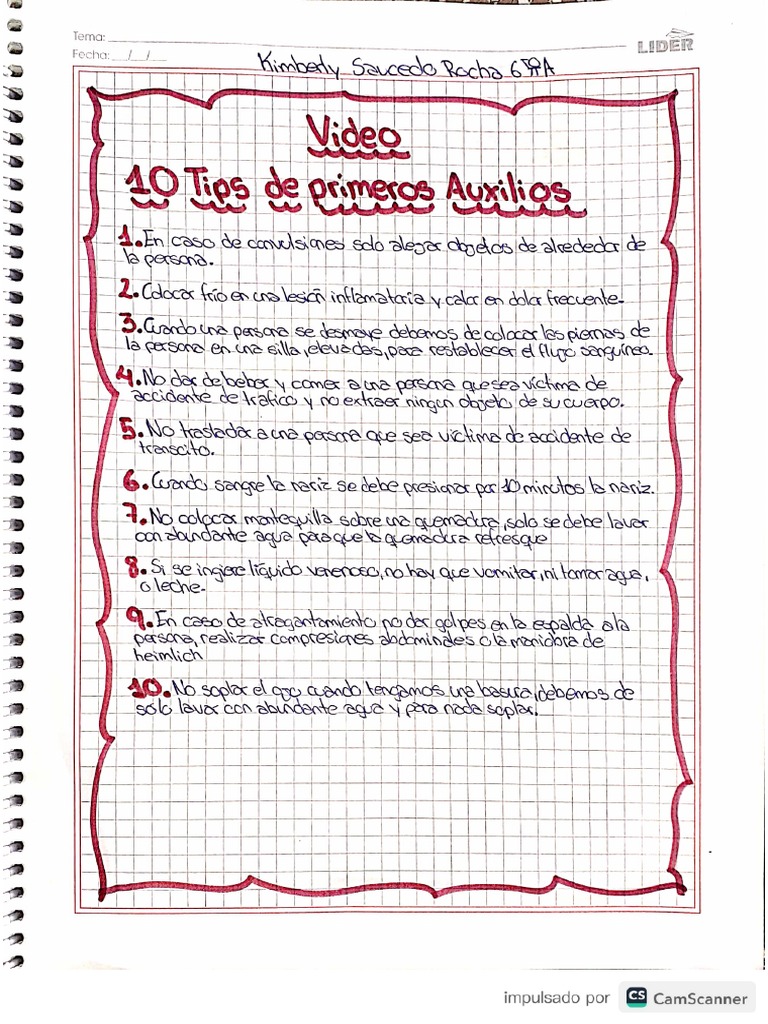 Kimberly Saucedo Rocha 6toa Biología | PDF