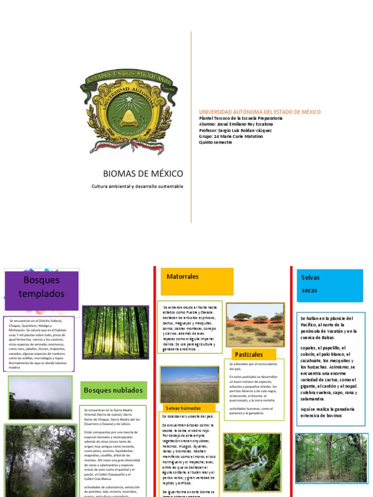 Biomas de México | PDF | México | Organismos