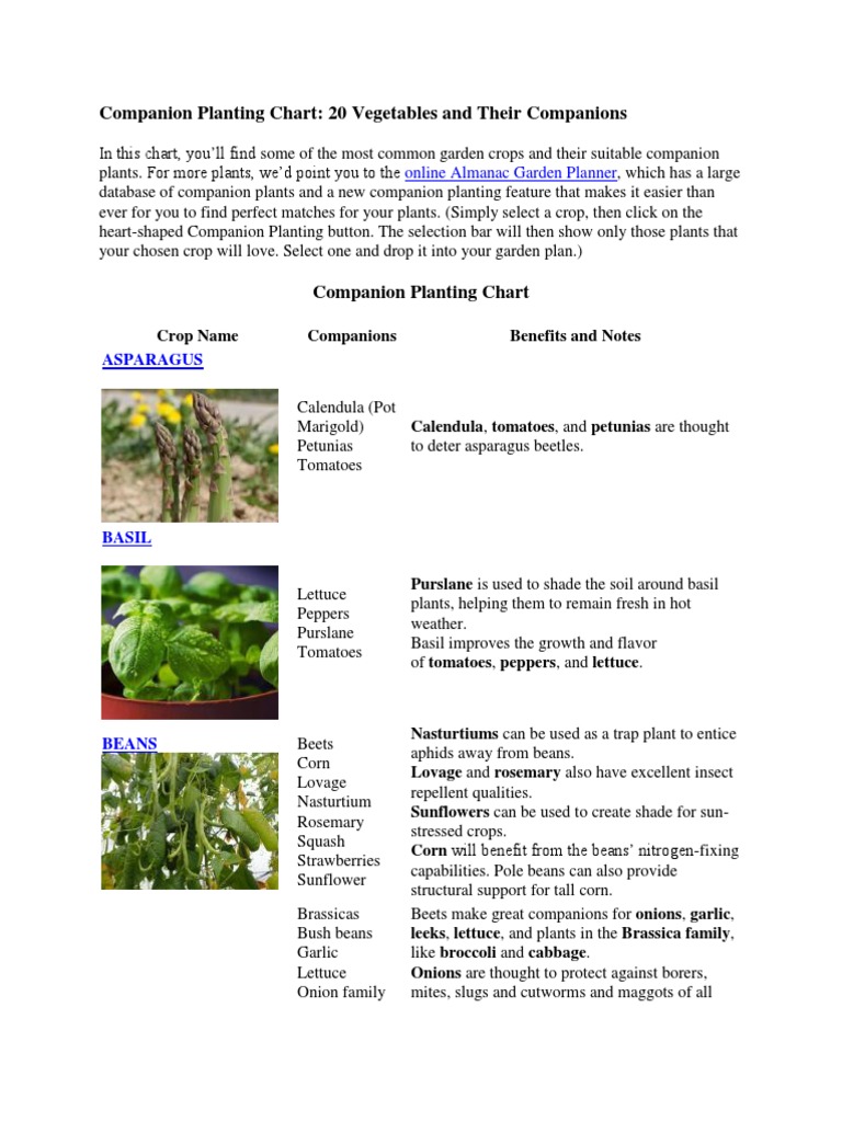 Companion Planting Chart | PDF