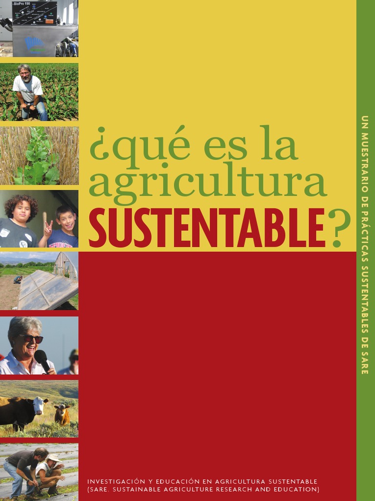 Que Es La Agricultura Sustentable | PDF | Agricultura | Hierba