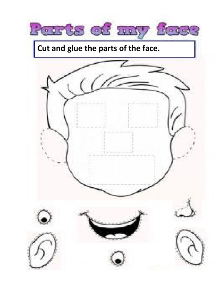 Parts of The Face - Worksheet | PDF