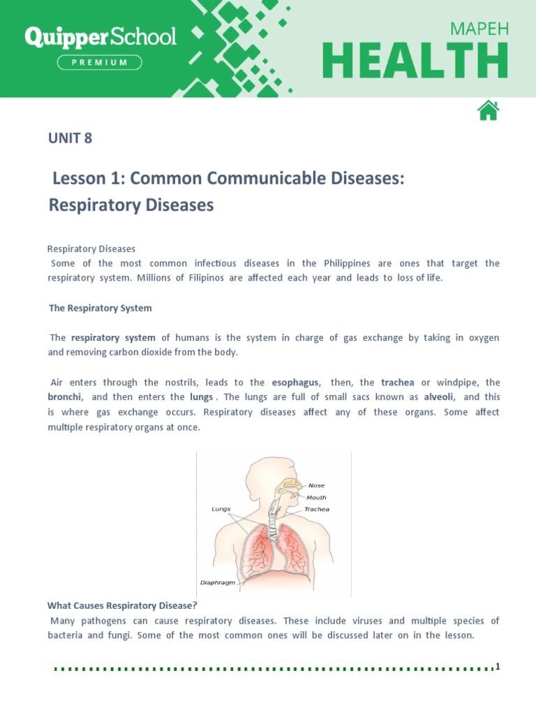 Health 8 Unit 8 Pdf 