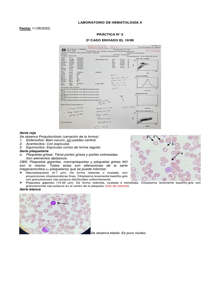11-08. Lab Hemato II. Práctica 2. | PDF | Leucocito | Especialidades Medicas