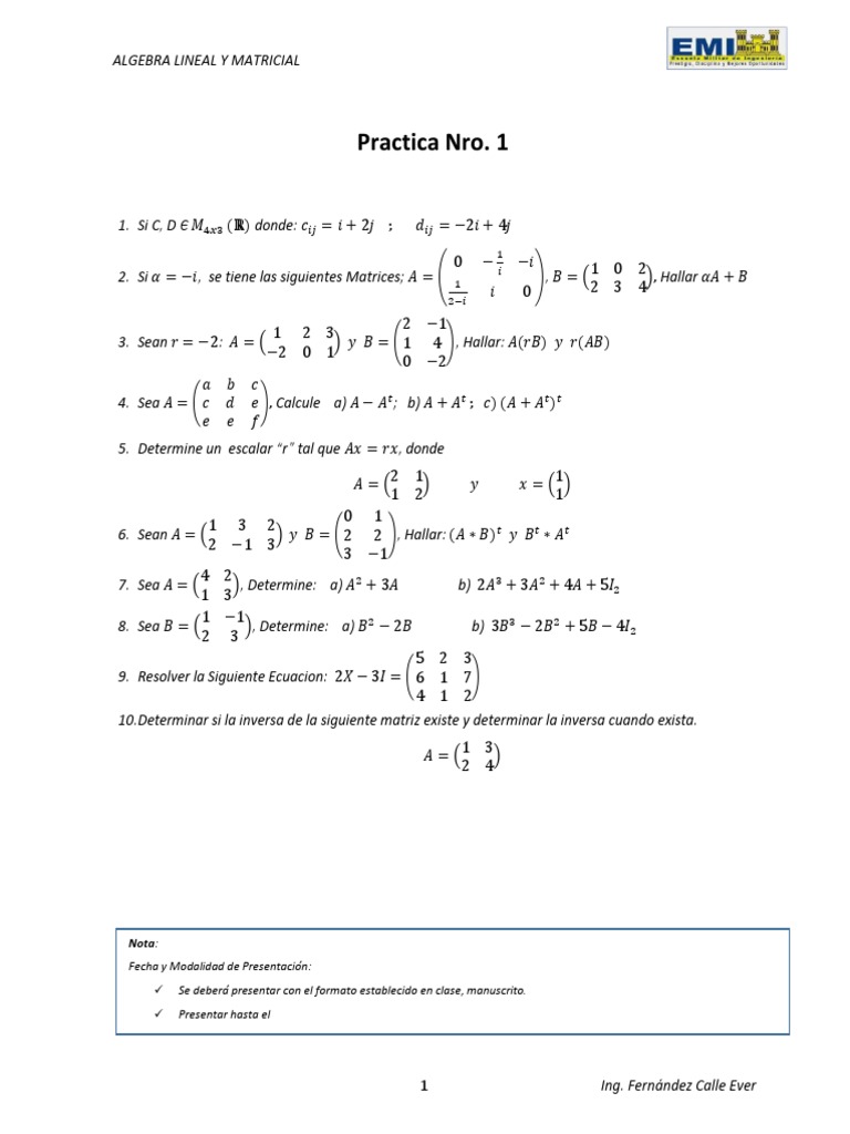 Practica Nro 1 | PDF | Matriz (Matemáticas) | Álgebra