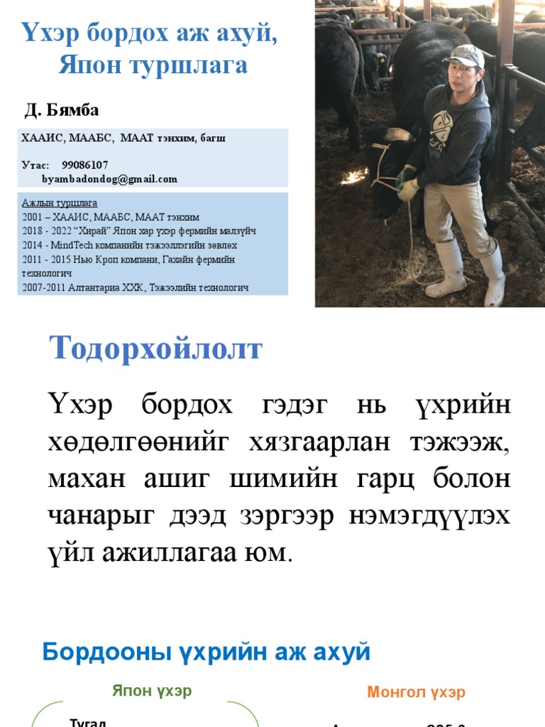 Bordoo Byamba | PDF