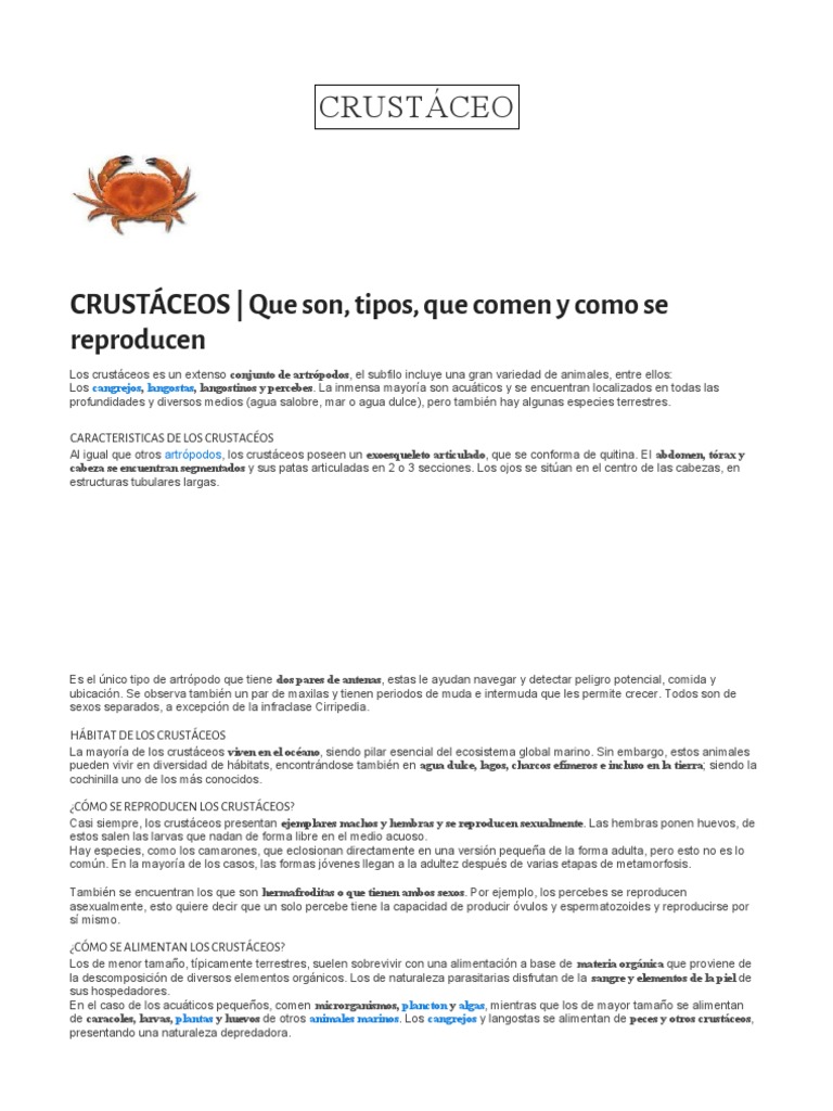 Crustáceos: Tipos, Hábitat y Alimentación | PDF