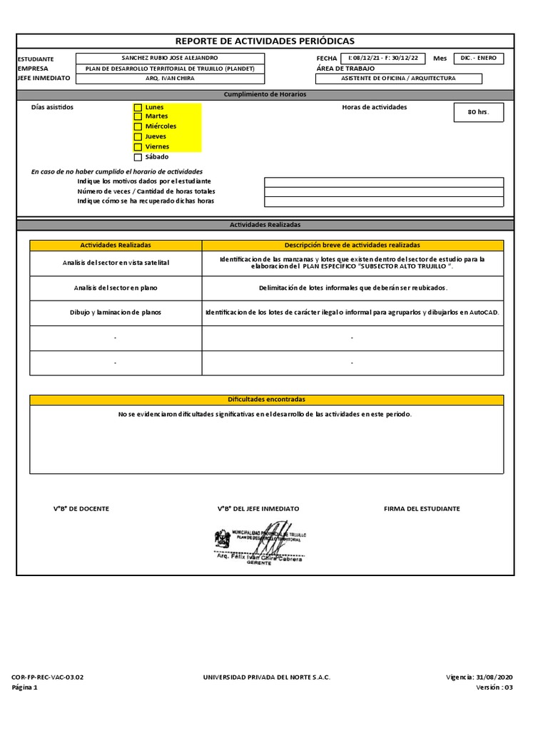 1.1 RAP - Reporte de Actividades Periódicas - Formato | PDF