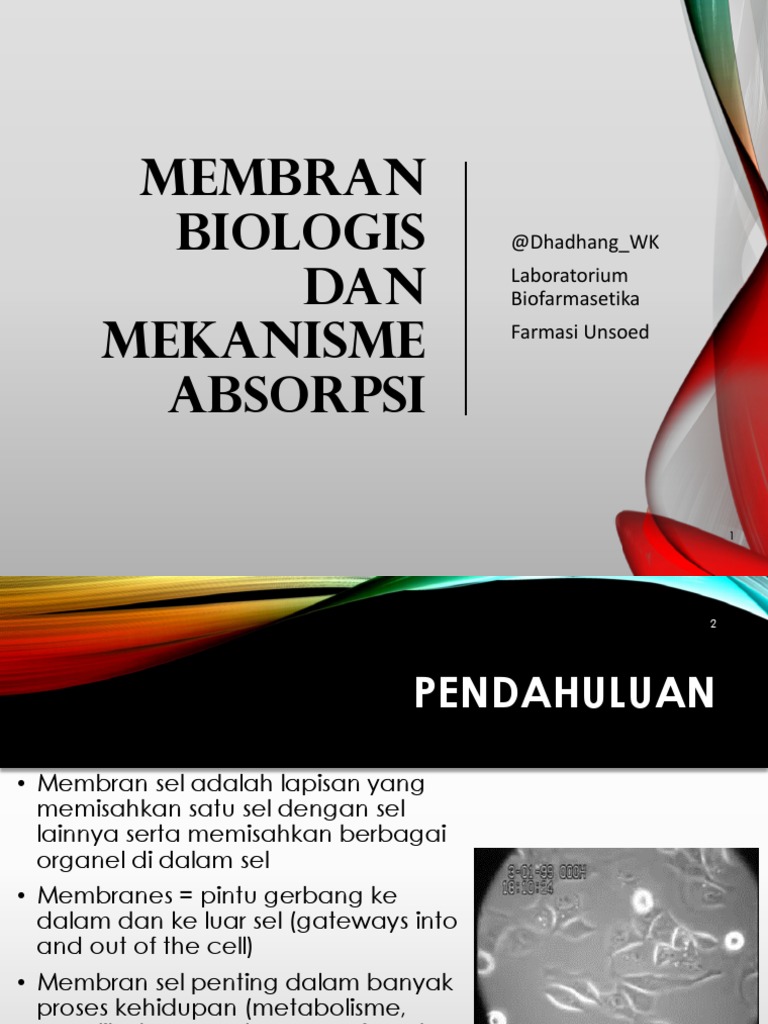 Membran Biologis Mekanisme Absorpsi | PDF