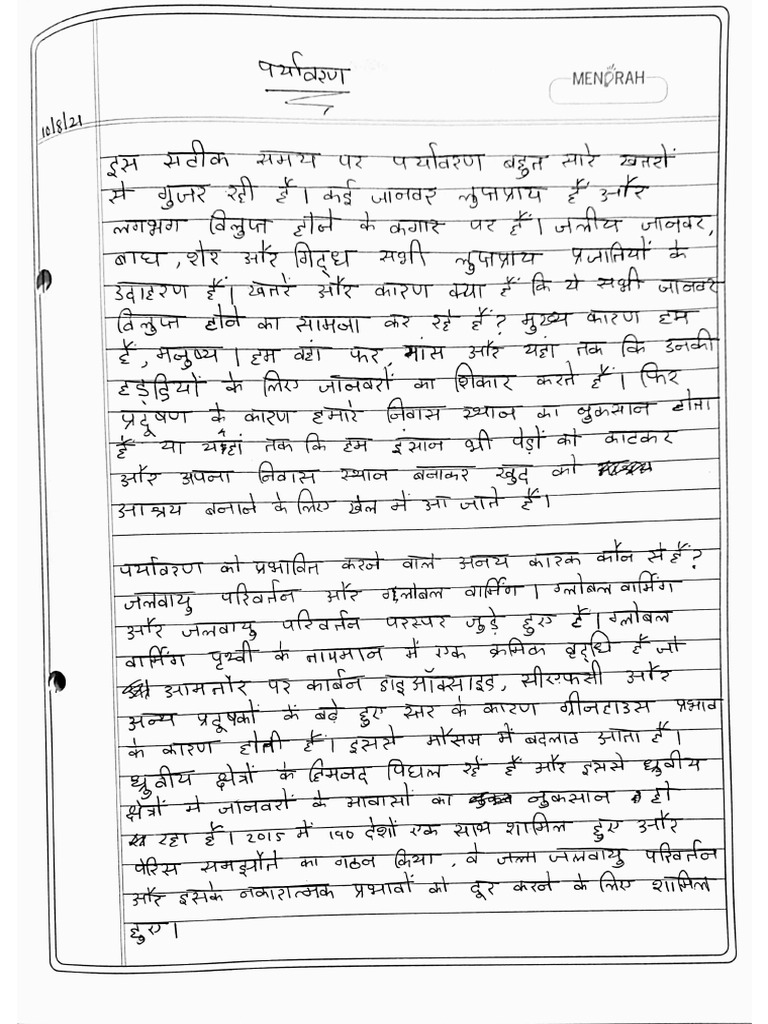 Environment Essay Hindi | PDF