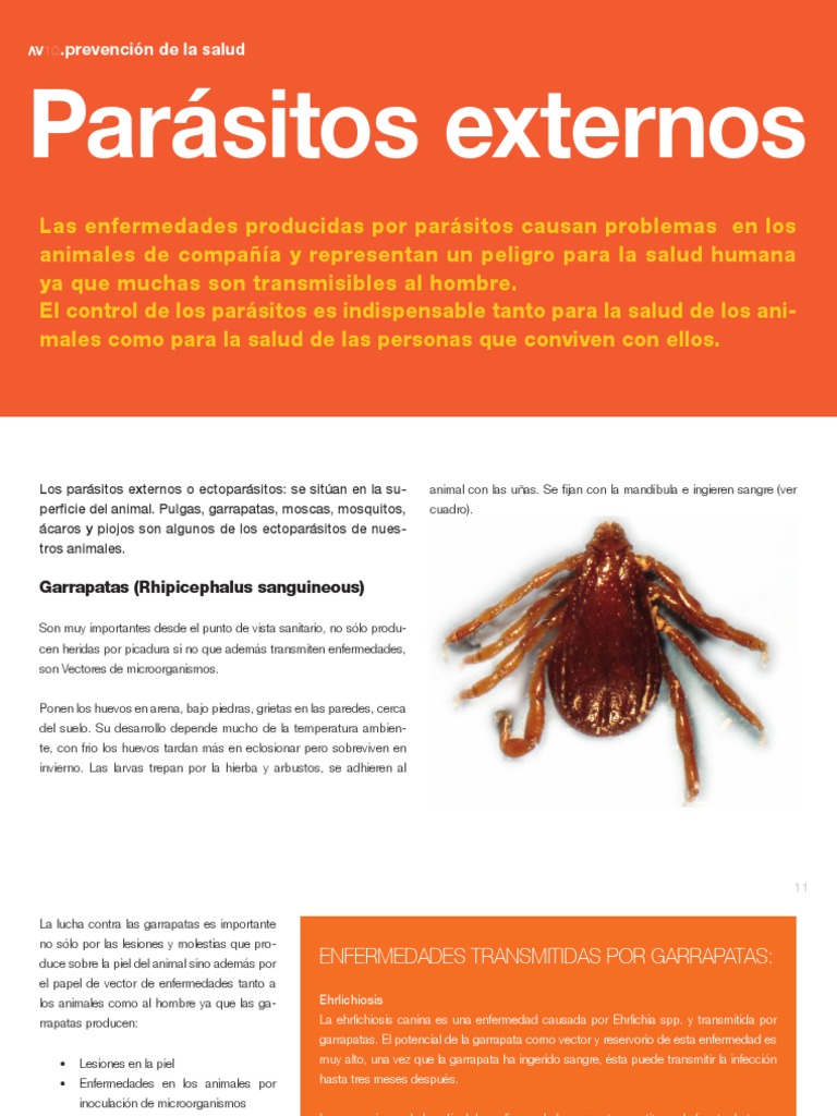 1 Parásitos Externos | PDF | Anemia | Infección