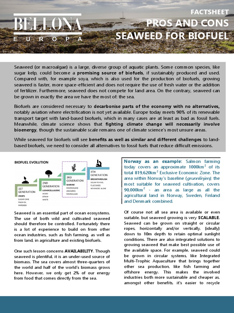 FACTSHEET Seaweed For Energy | PDF | Seaweed | Biofuel