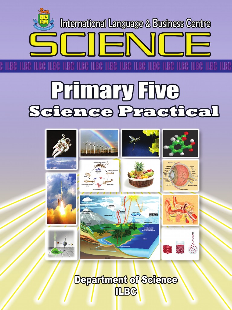 P5 Science Practical | PDF | Seed | Flowers