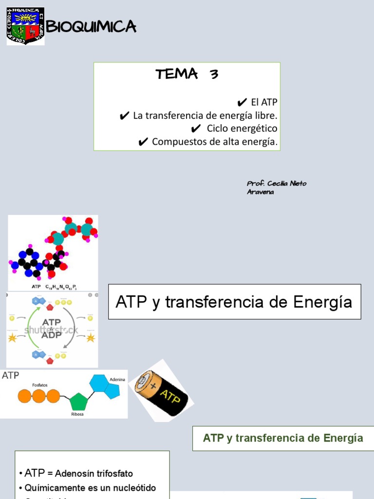 ATP: Energía y Ciclo Metabólico | PDF | Trifosfato de adenosina ...