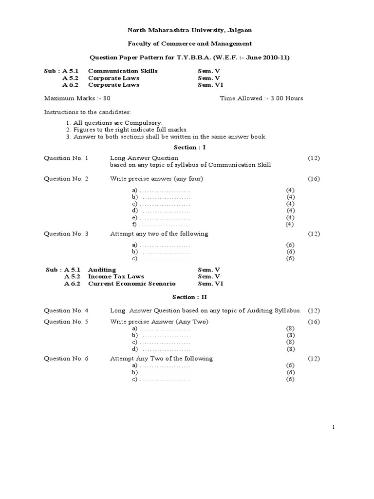 T.Y.B.B.A. Exam Pattern Guide | PDF