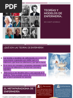 Teoria Lydia Hall | PDF | Enfermería | Science